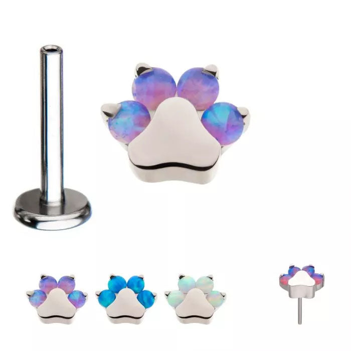 Initial Piercing - Synthetic opal paw Labret – Obsidian Body Piercing